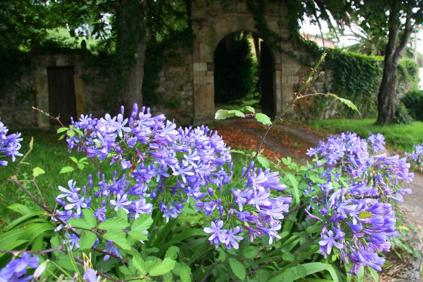 20 Vibrant Spring Flowers That Welcome Warmer Weather | LoveToKnow