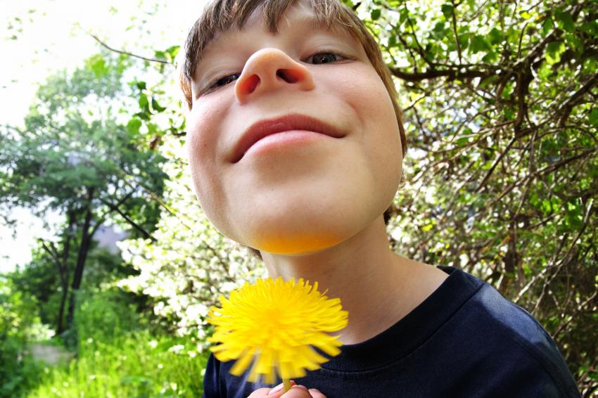 Wishing on Dandelions & Other Flower Fluff Traditions | LoveToKnow