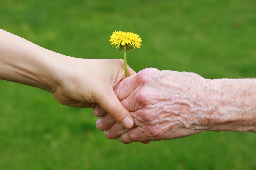 Wishing on Dandelions & Other Flower Fluff Traditions | LoveToKnow