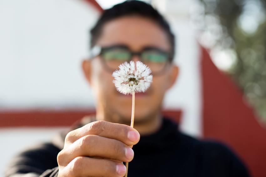 Wishing on Dandelions & Other Flower Fluff Traditions | LoveToKnow