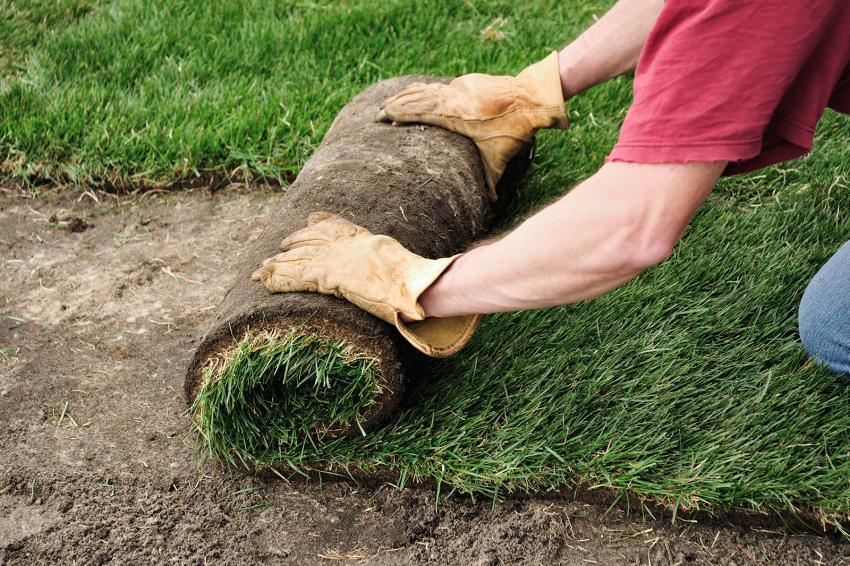 5 Reasons Your Sod Is Turning Yellow (& How to Fix It) | LoveToKnow