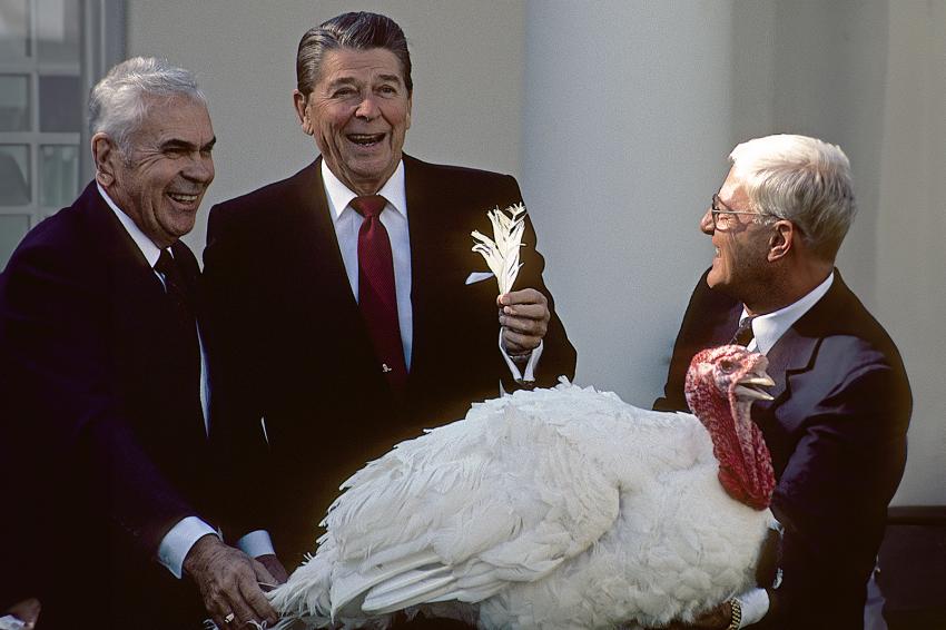 41 United States Traditions & Customs That Surprise Non-Americans ...