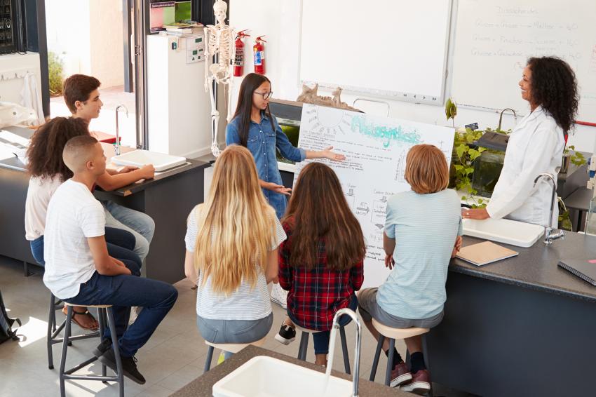 50+ Senior Project Ideas You'll Be Passionate About | LoveToKnow