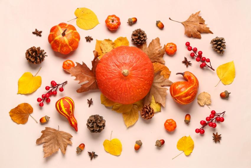 8 Pumpkin Spice Recipes Full of Cozy Fall Flavors | LoveToKnow