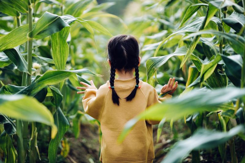 7 Types of Fall Farms to Visit This Season for Fantastic Family Fun ...