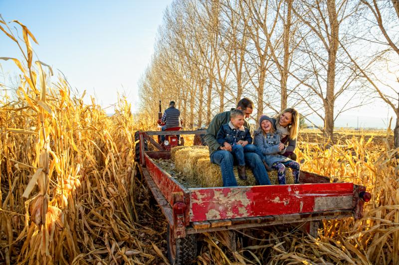 60+ Fall Activities for Kids to Make This Autumn Unforgettable | LoveToKnow