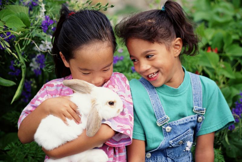 11 Best Small Pets for Cuddling You’ll Want to Snuggle Up With ...