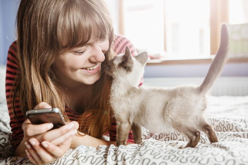 Bringing a New Kitten Home: Expert Tips for Happy Households ...