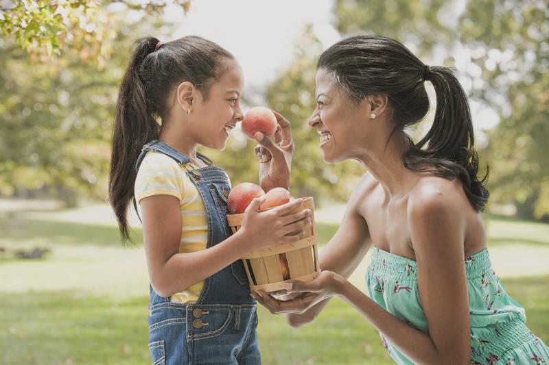 8 Apple Picking Tips for Fall Family Fun | LoveToKnow