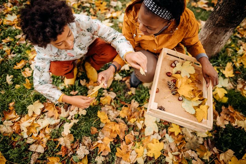 10 Fall Scavenger Hunt Ideas Kids & Parents Will Love | LoveToKnow