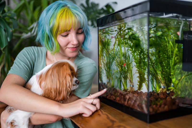 13 Best Pet Fish: Fin-Tastic Friends for Your New Aquarium | LoveToKnow ...