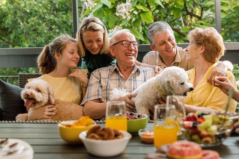 Visiting Family With Your Dog: Etiquette for a Successful Stay ...