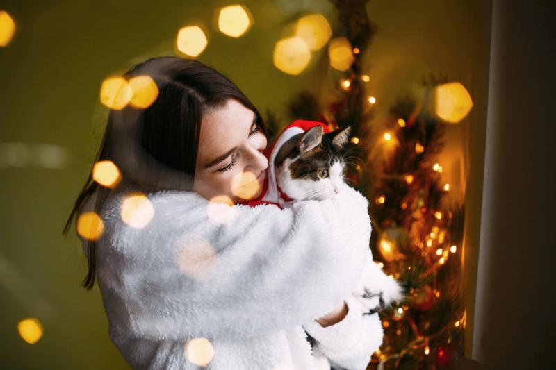 33 Christmas Cat Puns & Jokes With Pawesome Wordplay | LoveToKnow Pets