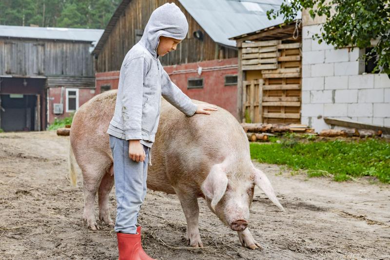 14 Awesome & Weird Pets You Didn’t Know You Could Adopt | LoveToKnow Pets