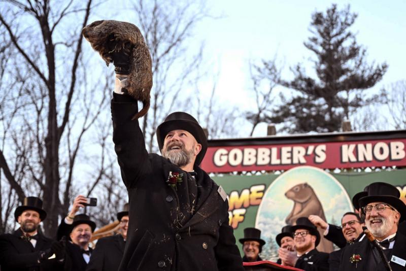 40 Groundhog Day Quotes to Keep You Going for the Next 6 Weeks | LoveToKnow