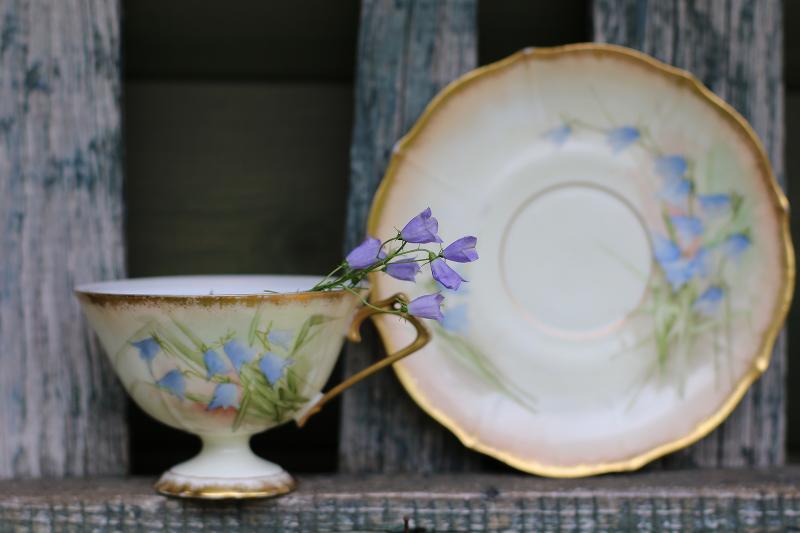 Antique Limoges China: Iconic Marks, Patterns, & More | LoveToKnow