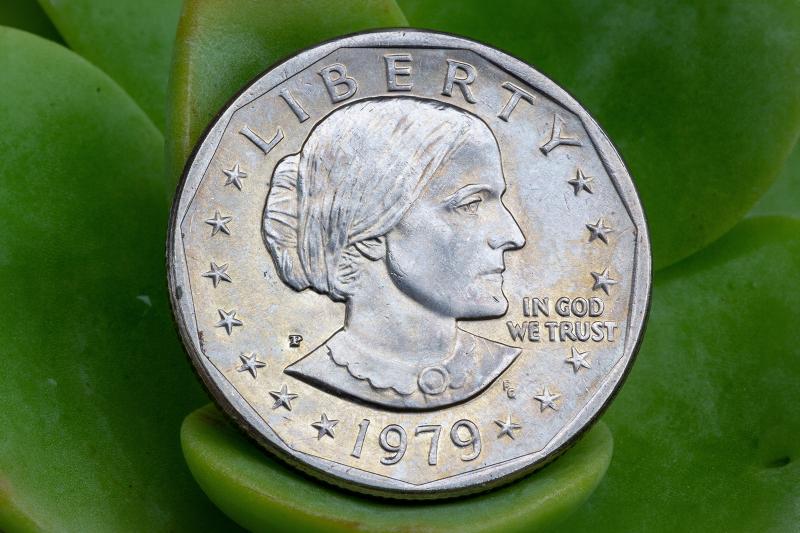 Susan B. Anthony Dollar Values: 7 Coins to Watch For | LoveToKnow