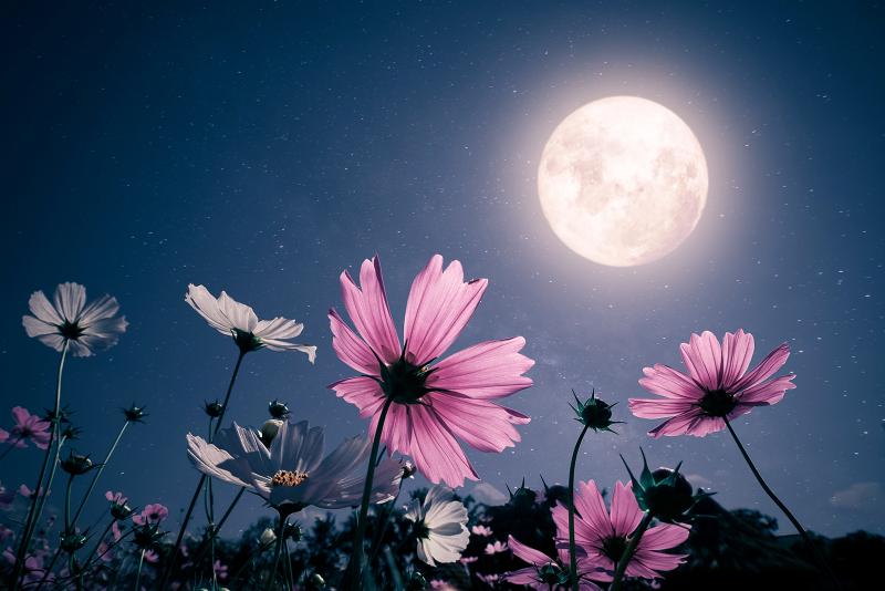 8 Full Moon Rituals for Reflection & Empowerment | LoveToKnow